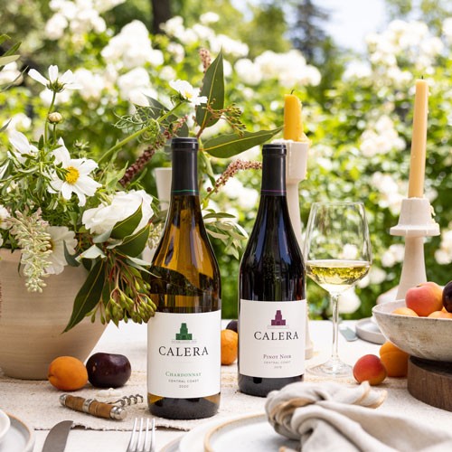 Special Case Offers on Select Wines | Duckhorn Wine Shop